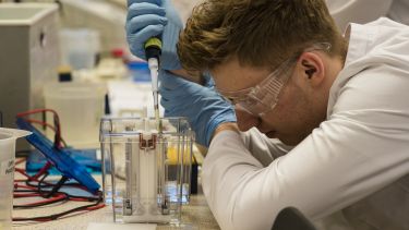 Biochemistry | Biosciences | The University of Sheffield