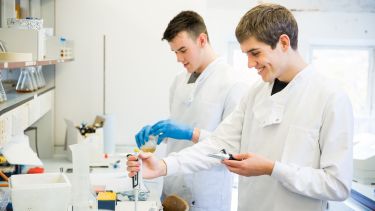 Biochemistry | Biosciences | The University of Sheffield