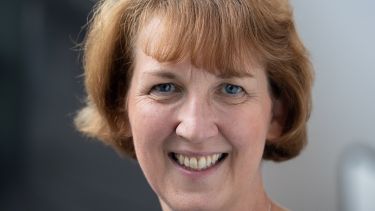 People | Healthy Lifespan Institute | The University of Sheffield