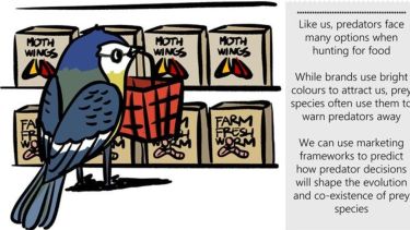 What marketing theory can teach us about predator-prey interactions ...