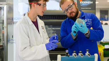 Bioengineering Bacterial Lab | Faculty of Engineering | The University ...