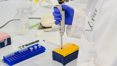 Bioengineering Bacterial Lab | Faculty of Engineering | The University ...