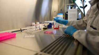 Bioengineering Tissue Lab | Faculty of Engineering | The University of ...