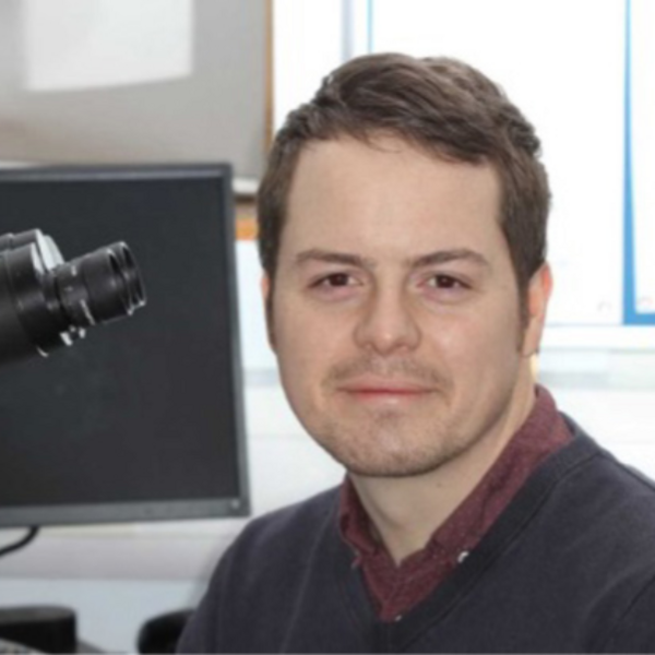 Academic staff | Clinical Dentistry | The University of Sheffield