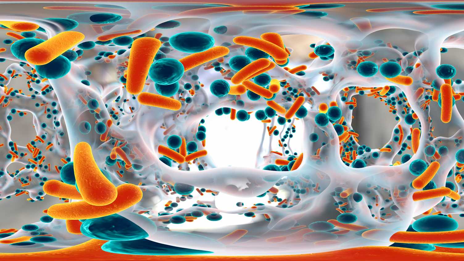 Research | Research | The University of Sheffield