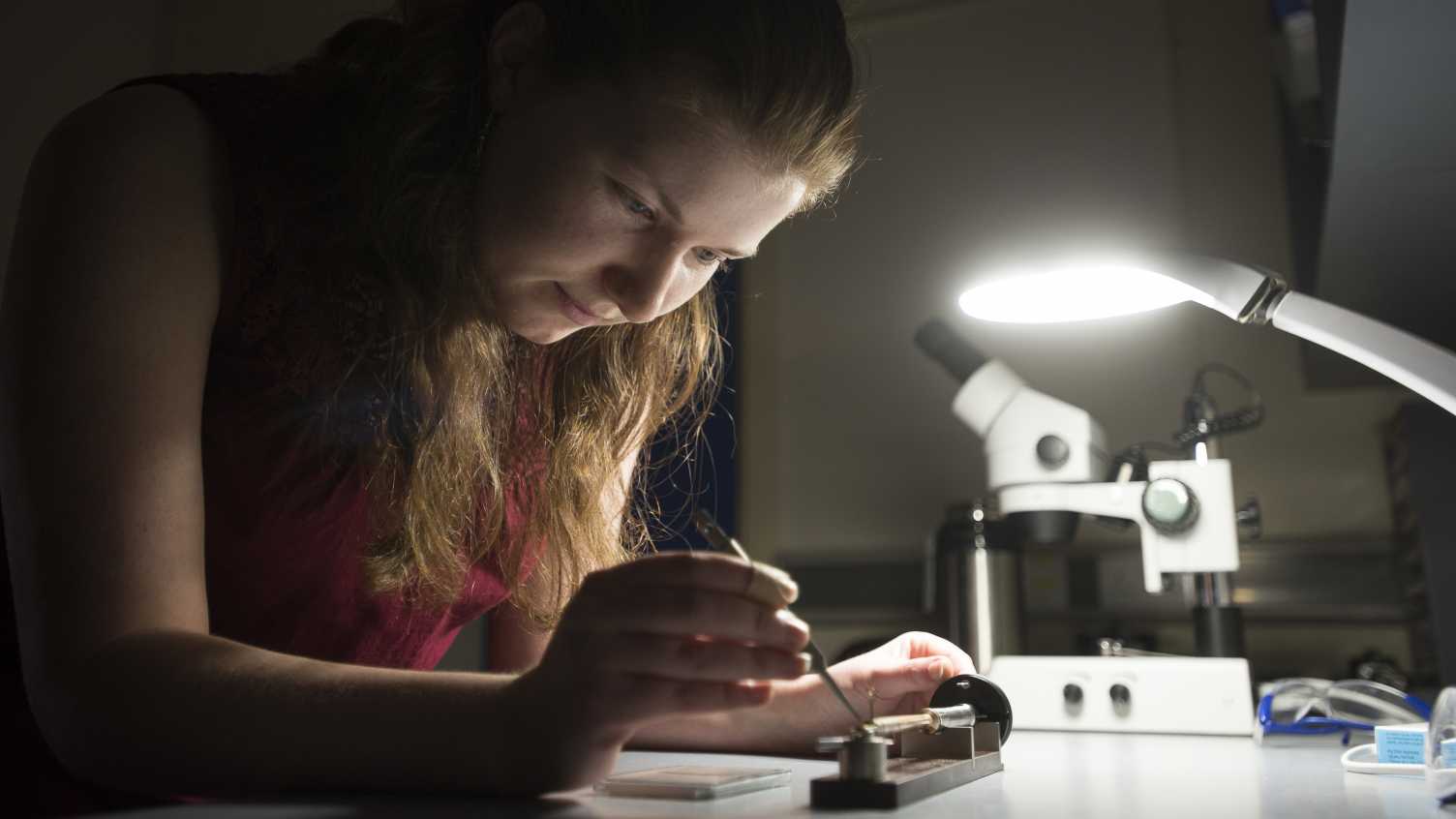 Research-led teaching | Biosciences | The University of Sheffield