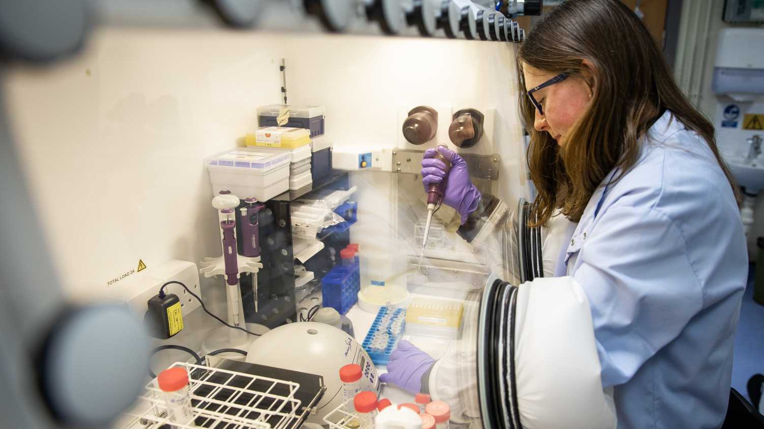 School of Biosciences | Biosciences | The University of Sheffield