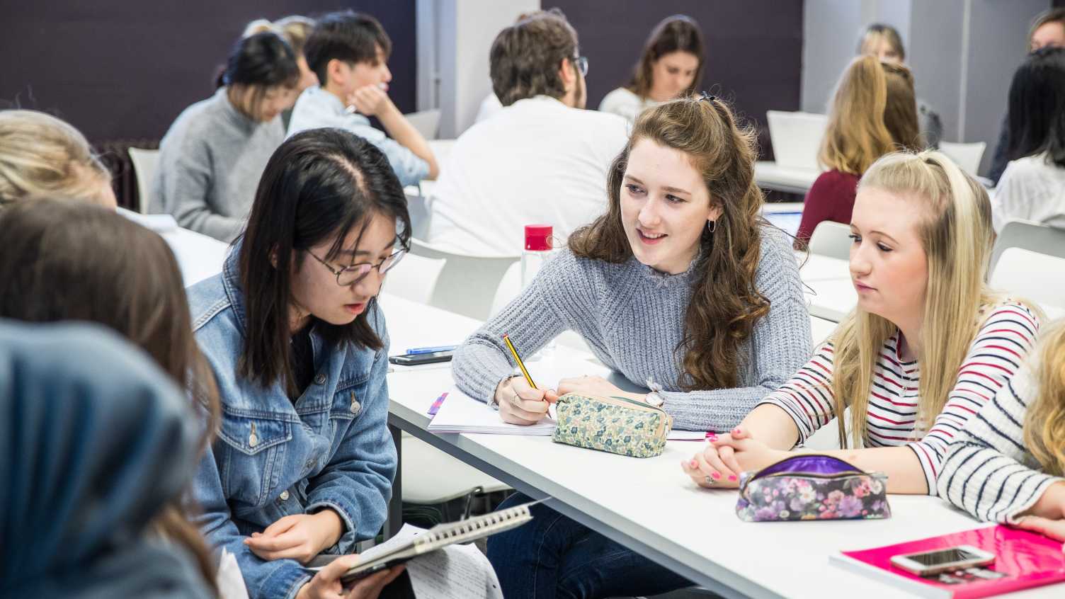 Work placements | Education | The University of Sheffield