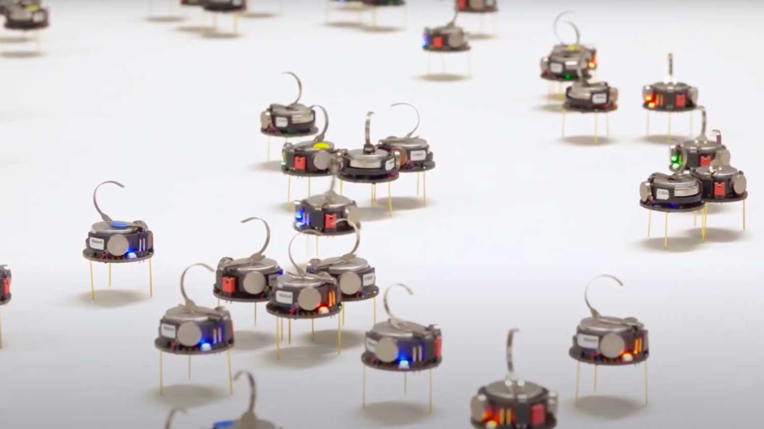 Natural Robotics Lab | Natural Robotics Lab | The University of Sheffield