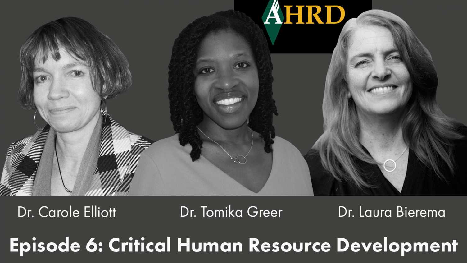 Prof Carole Elliott features in Critical Human Resource Development ...