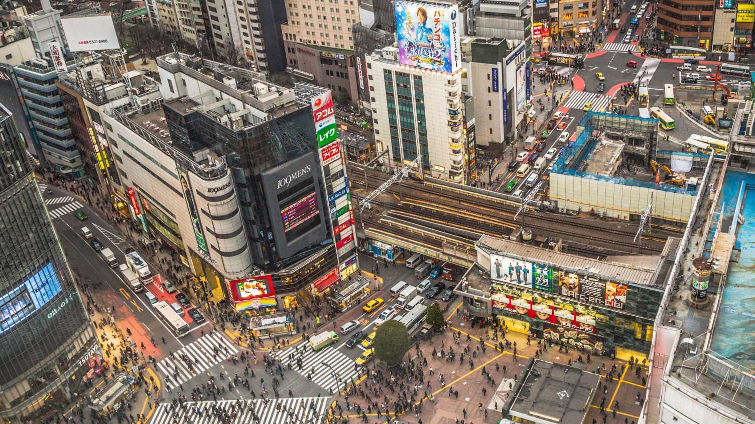Urban Institute | Urban Institute | The University of Sheffield