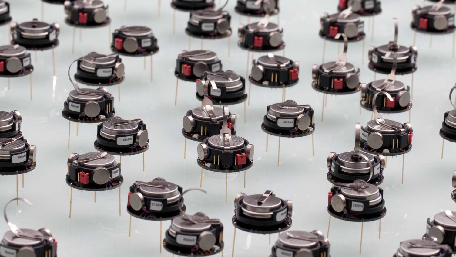 Sheffield Robotics | Sheffield Robotics | The University of Sheffield