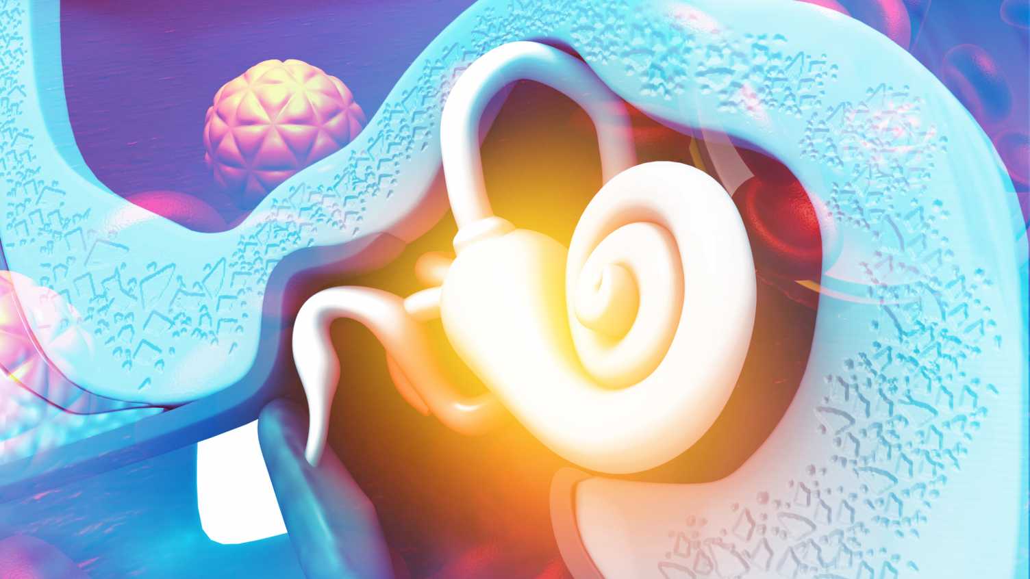 Unlocking the human inner ear for new therapies to improve hearing loss ...