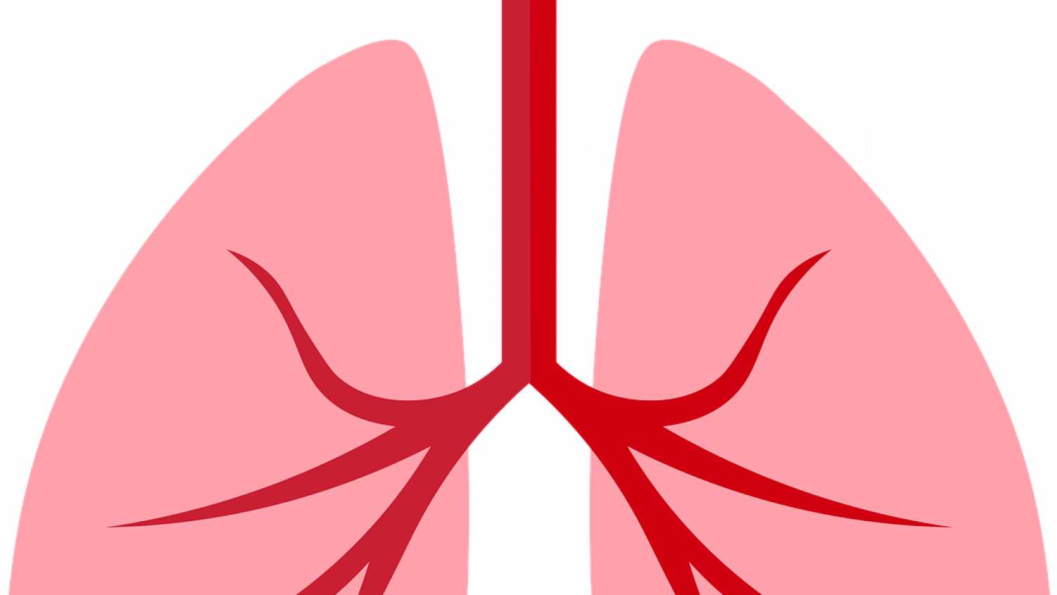 Cripping Breath | Cripping Breath | The University of Sheffield Cripping Breath | Cripping Breath | The University of Sheffield