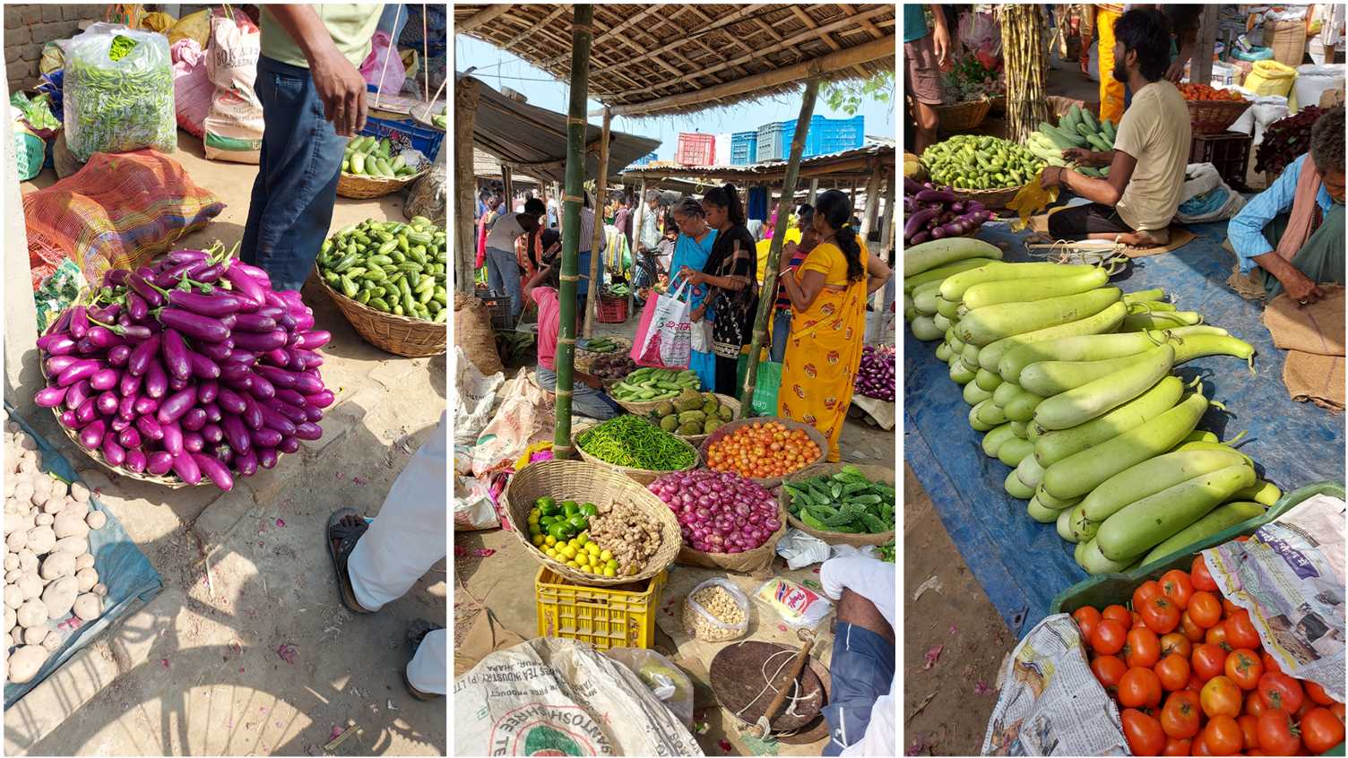 Indian Food Systems for Improved Nutrition (INFUSION) | Institute for ...