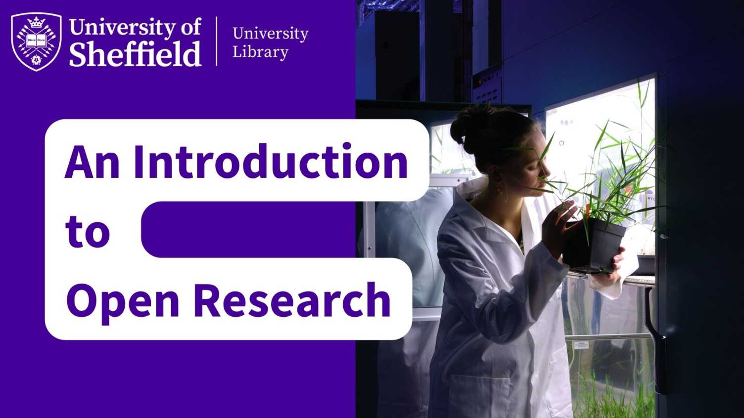 Open research training | Library | The University of Sheffield