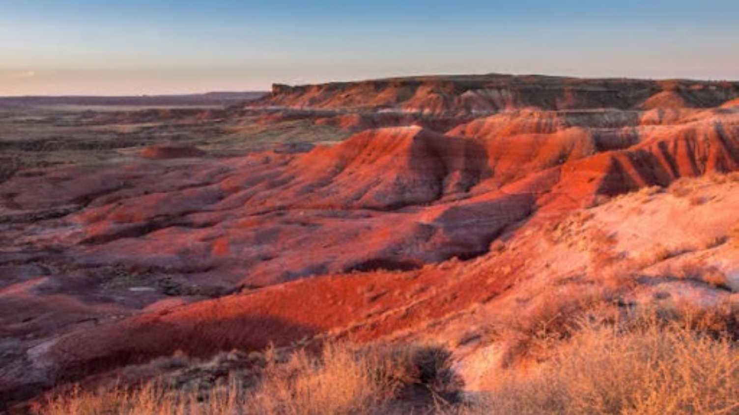 PhD Project - Enhanced Rock Weathering | AREC | The University of Sheffield